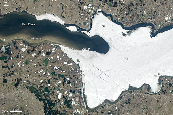 每日卫星照：俄罗斯塔兹河融冰|俄罗斯|卫星|北冰洋_科学探索_新浪科技_新浪网